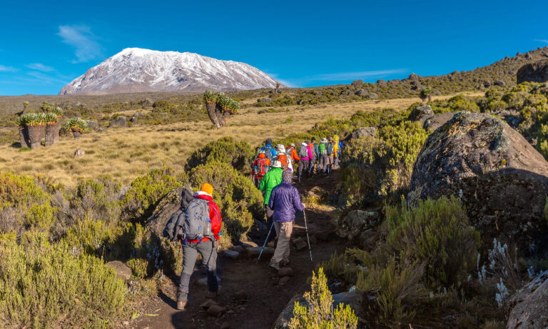 Kilimanjaro Routes - How Far Do You Walk Each Day?Gifted Adventures